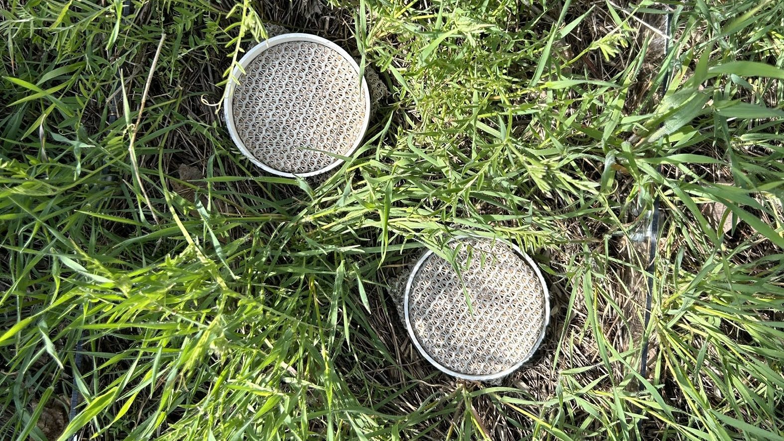 Research – Hawaiʻi Soil Microbiome Lab