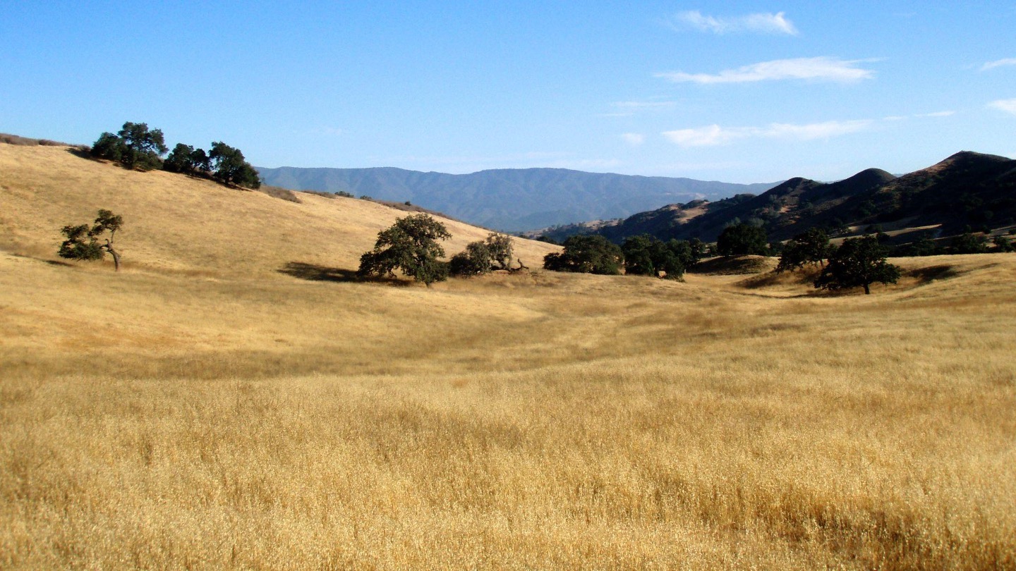 Research – Hawaiʻi Soil Microbiome Lab